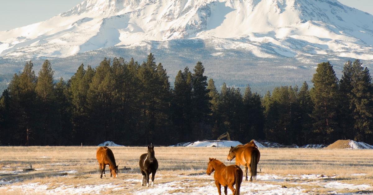 6 Ranch Getaways for a Real Western Vacation