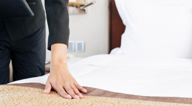 Dealing With Bedbugs A Traveler S Guide