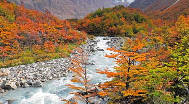 Best Places to Visit for Fall Colors [VIDEOS]